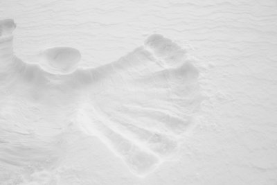 Snow angel . . . (haiku) | A Poet in Time