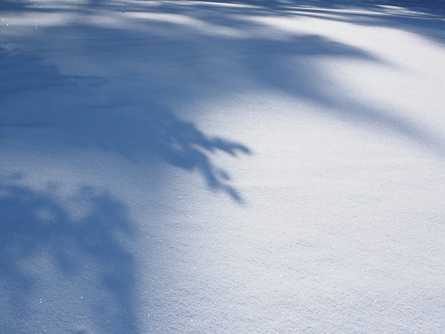 Loneliness . . . (three tanka) | A Poet in Time